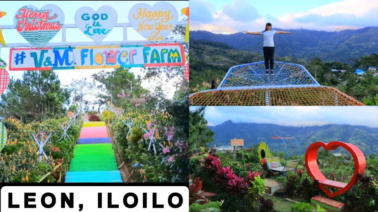 Explore ILOILO: Discover The Hidden Beauty Of V&M Flower Farm | Tourist ...