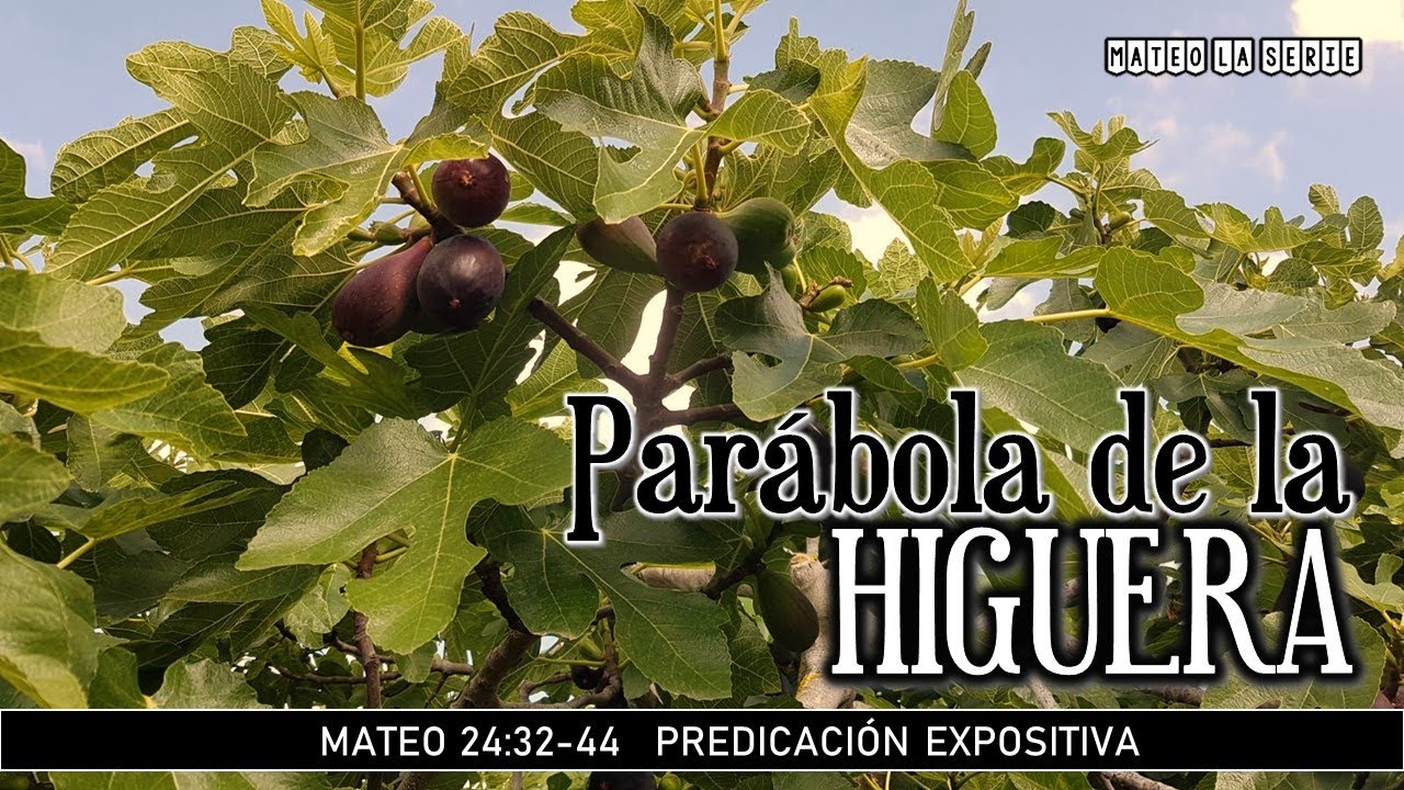 Domingo 7 de noviembre 2021. Mateo 24:32-44 "Parábola de la higuera ...
