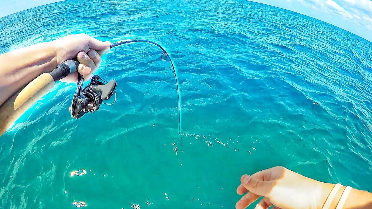 Bass FISHERMAN Catches BIG Ocean Fish For First Time! - YouTube