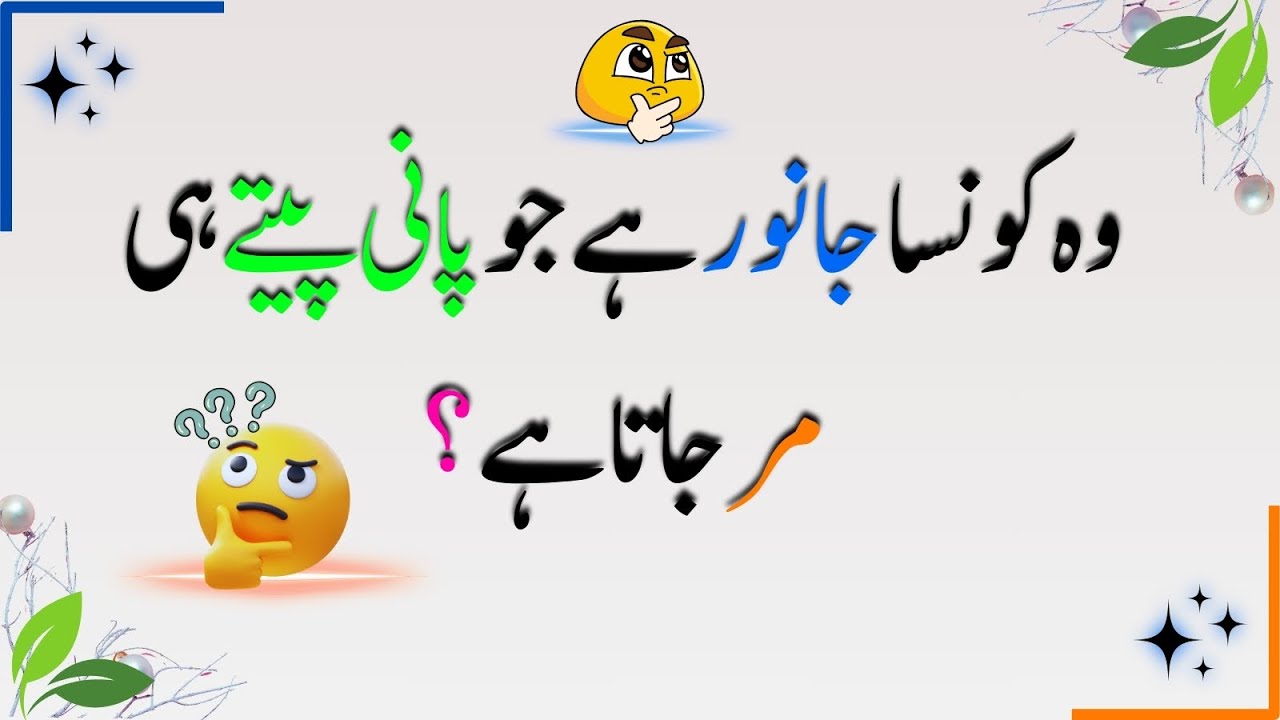 Paheliyan With Answer in Urdu | Sab Quiz Hain - YouTube