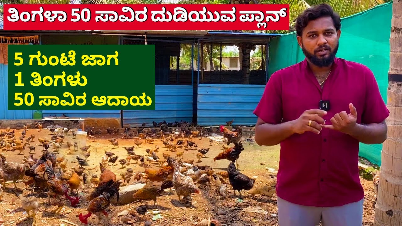 ನಾಟಿ ಕೋಳಿ ಸಾಕಬೇಕಾ ಮೊದಲು ಈ ವೀಡಿಯೊ ನೋಡಿ | how to start nati koli farm in ...