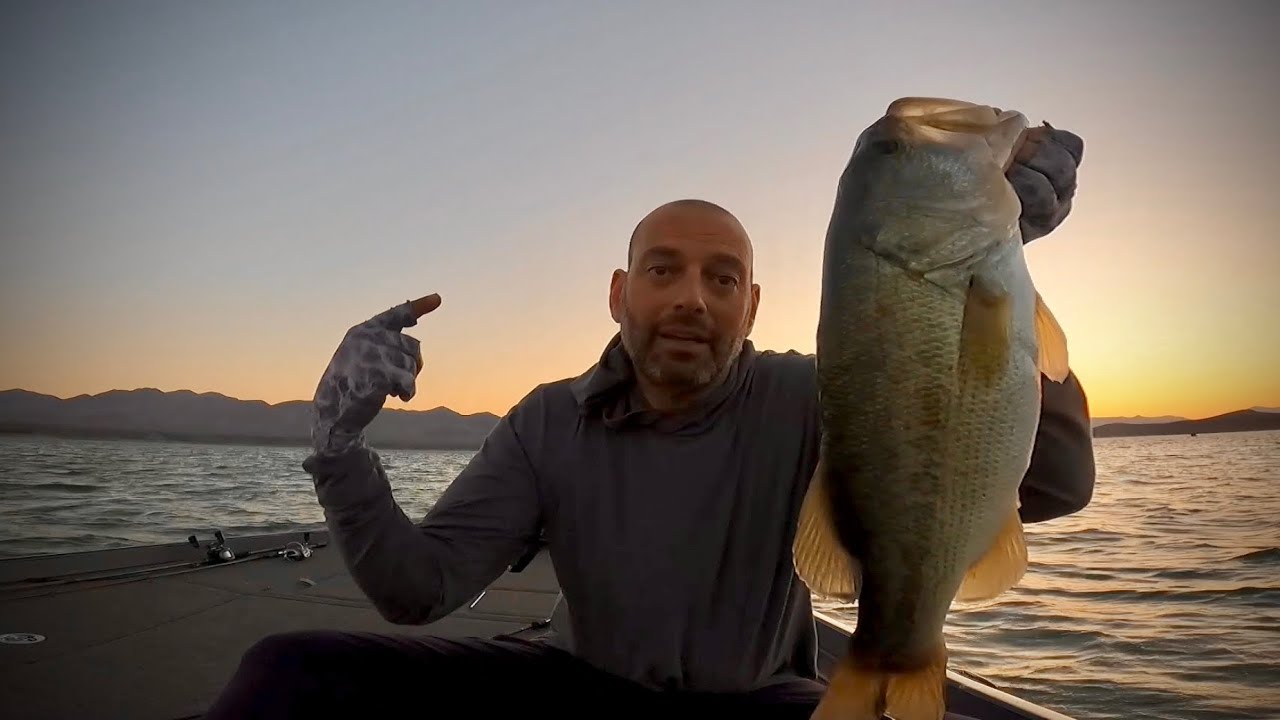 Sunset Bass Bonanza on Arizona’s BEST LAKE! - YouTube