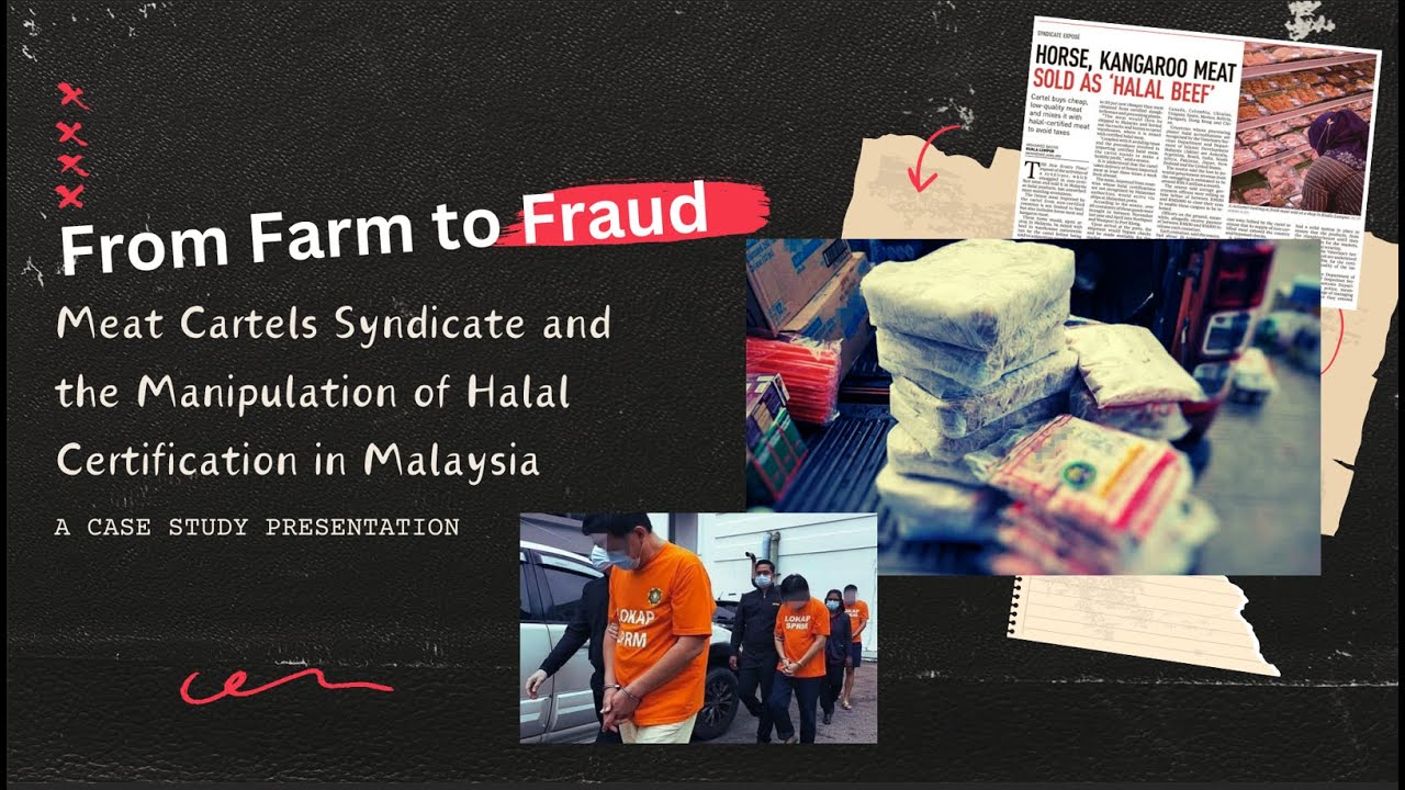 A CASE STUDY PRESENTATION : MEAT CARTEL SYNDICATE - YouTube
