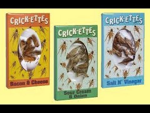 Salt n' Vinegar Flavored Crickets!!!! - YouTube