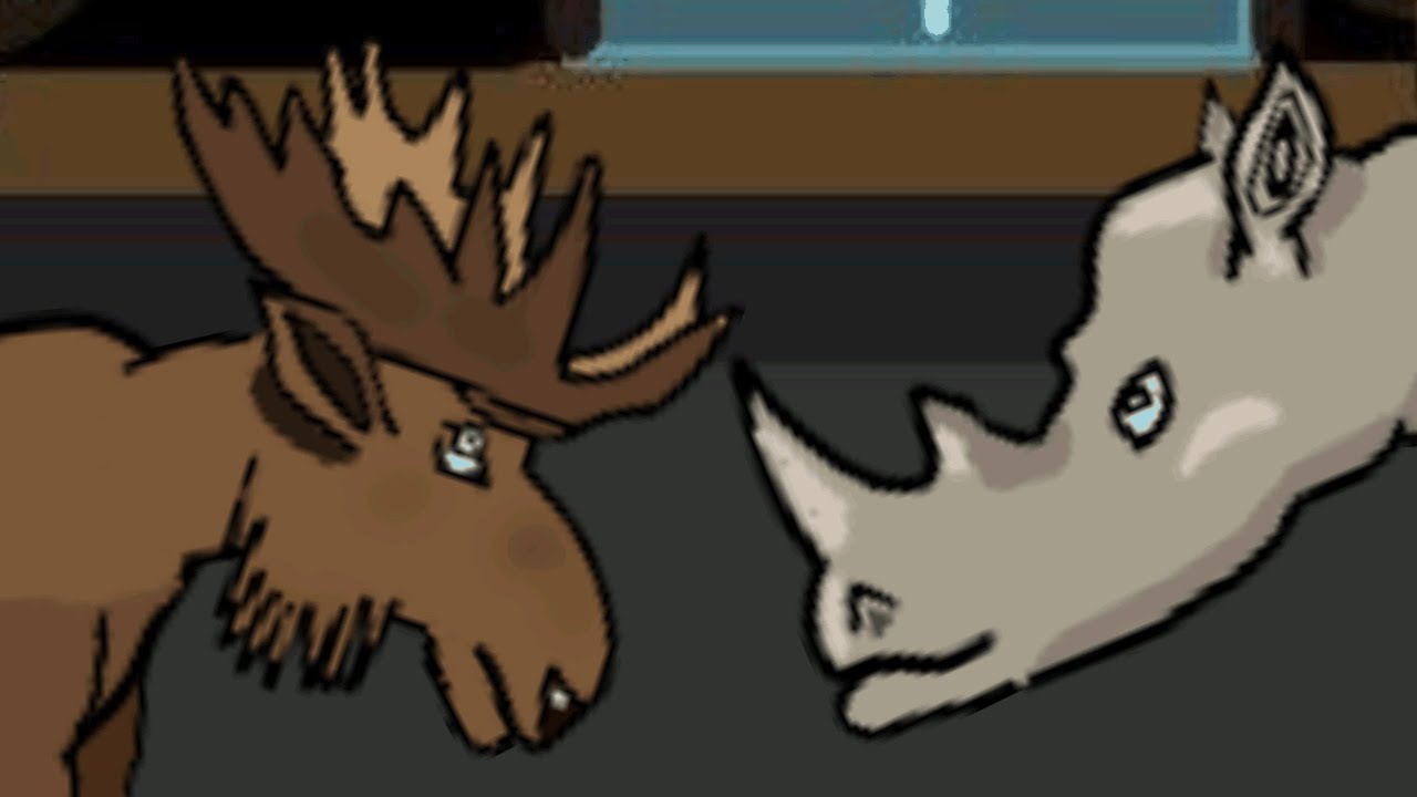 moose vs rhino animation—all animation - YouTube