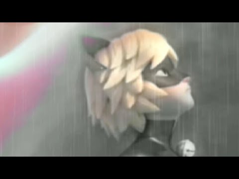Chat noir is sad :(.. - YouTube
