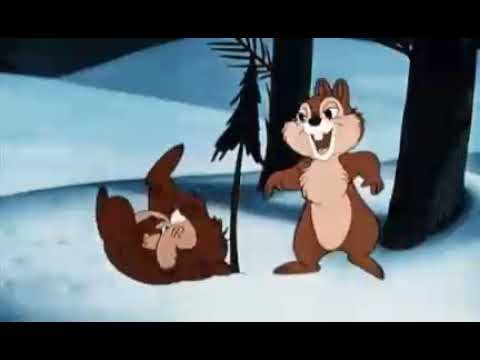 Ardillas riéndose - YouTube