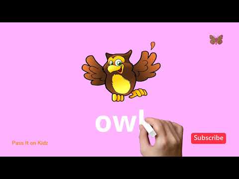 Practice Spelling #15 | Words that starts with letter Oo | Spelling Words| Kids Vocabulary