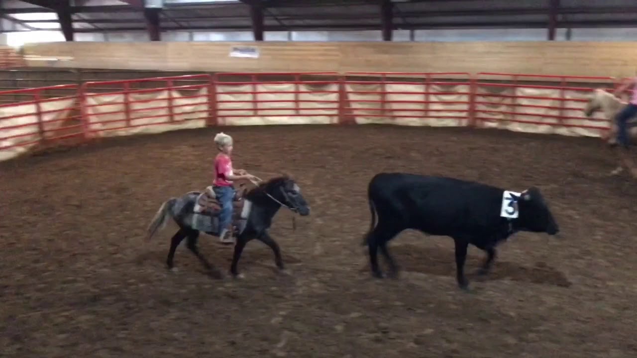 “Spencer” Ranch Sorting Practice - YouTube