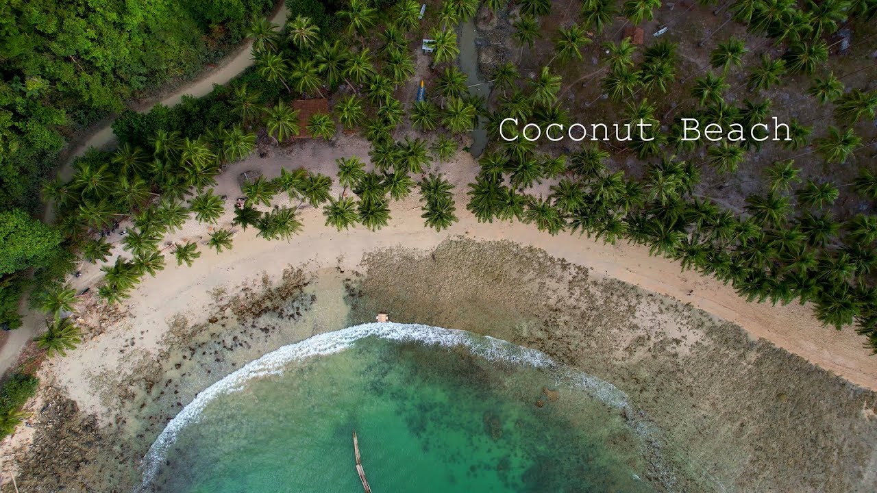 Coconut Pig Beach Port Barton Philippines 2024 - Acoustic Sentimental ...