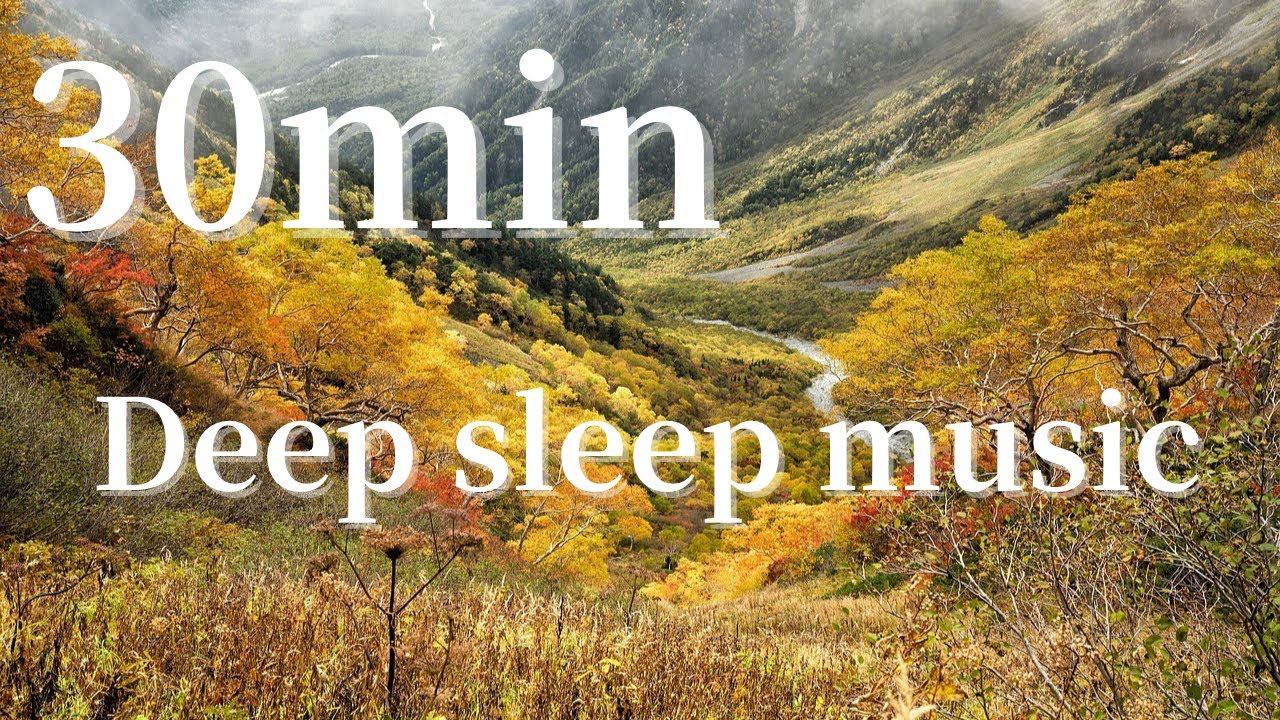 睡眠用BGM Dreaming in Autumn: Relaxing Sleep Video with Fall Foliage ...