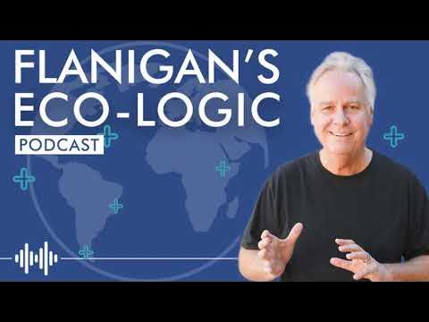 Ted and Sierra Flanigan's Clean Energy Crash Course: Energy Resilience ...