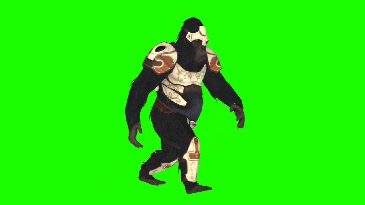 Gorilla walk animated left chroma - YouTube