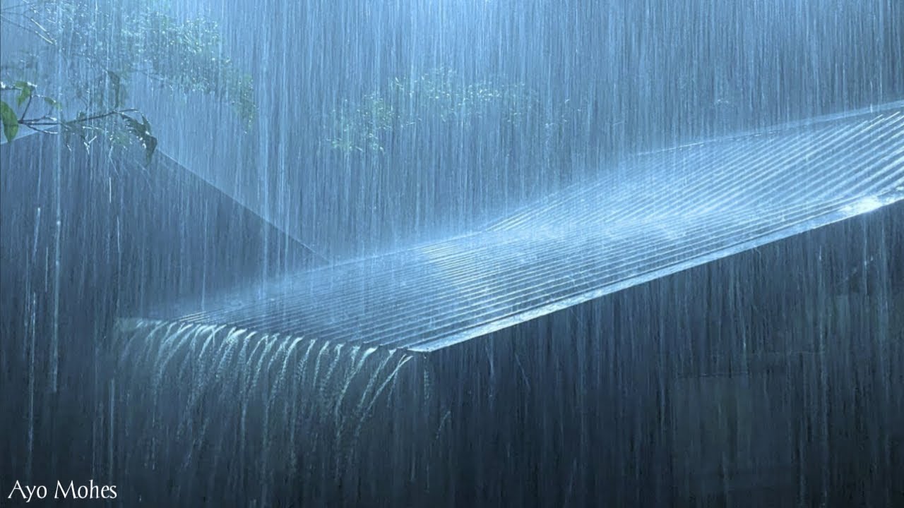 Peaceful Rain on Roof in Forest and Thunder Sounds – Ideal for Deep ...