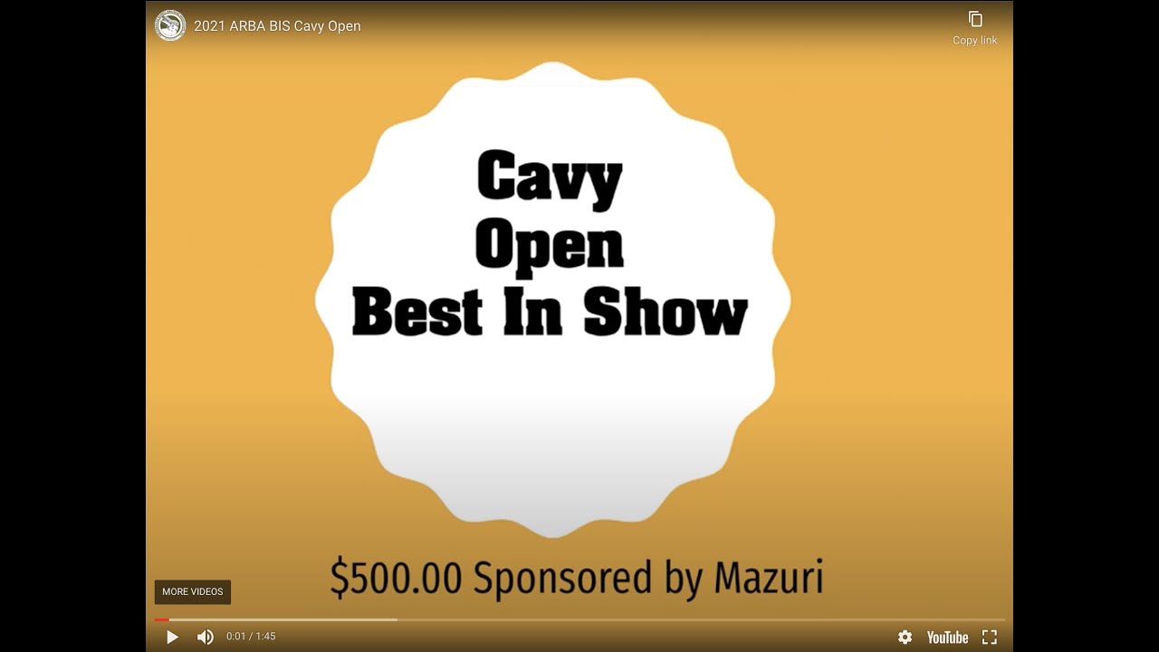 2021 ARBA BIS Cavy Open - YouTube