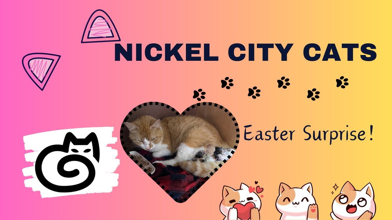 Easter Surprise! Izzy's birthing part 1 - YouTube