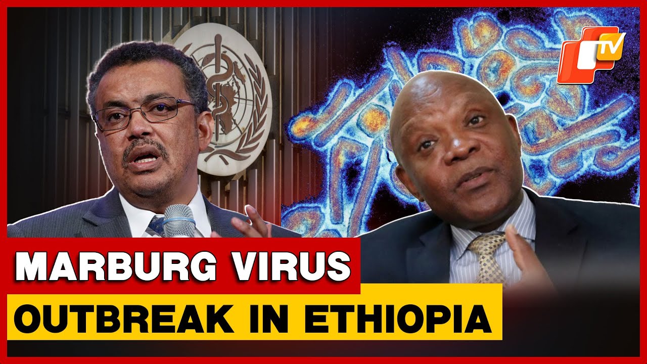 Ethiopia Confirms First Marburg Outbreak As WHO Ramps Up Emergency ...