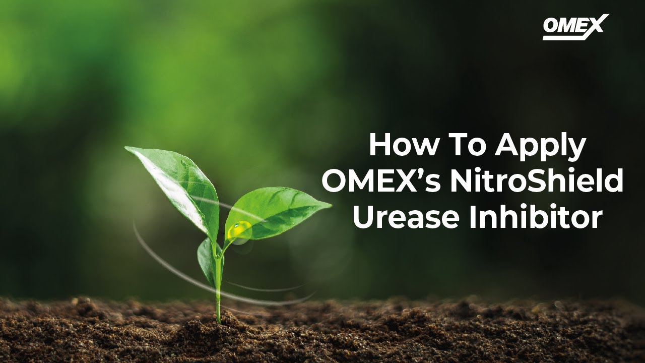 OMEX NitroShield Q&A How to apply - YouTube