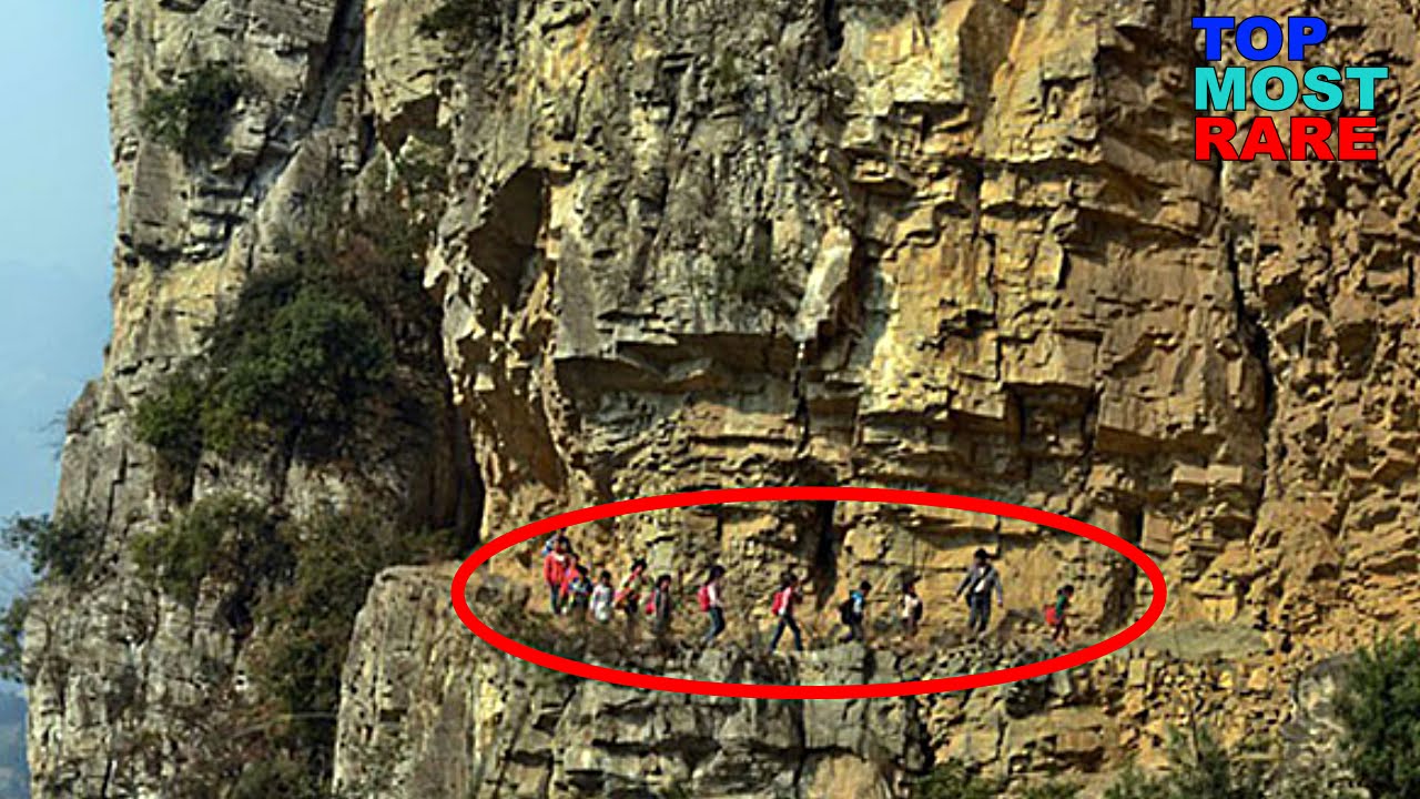 20 Odd Schools You Didn't Know Existed Around the World - YouTube