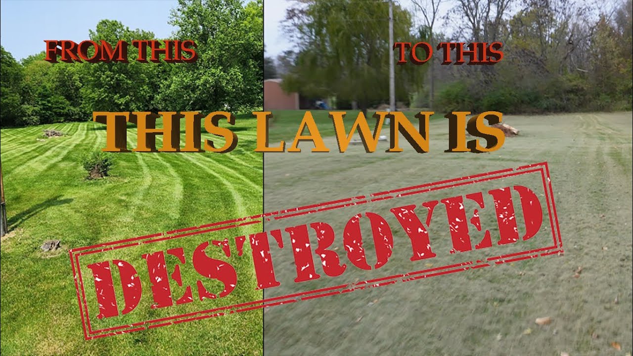 After A year Of Making This Lawn Look Amazing Neighbor Destroys It ...