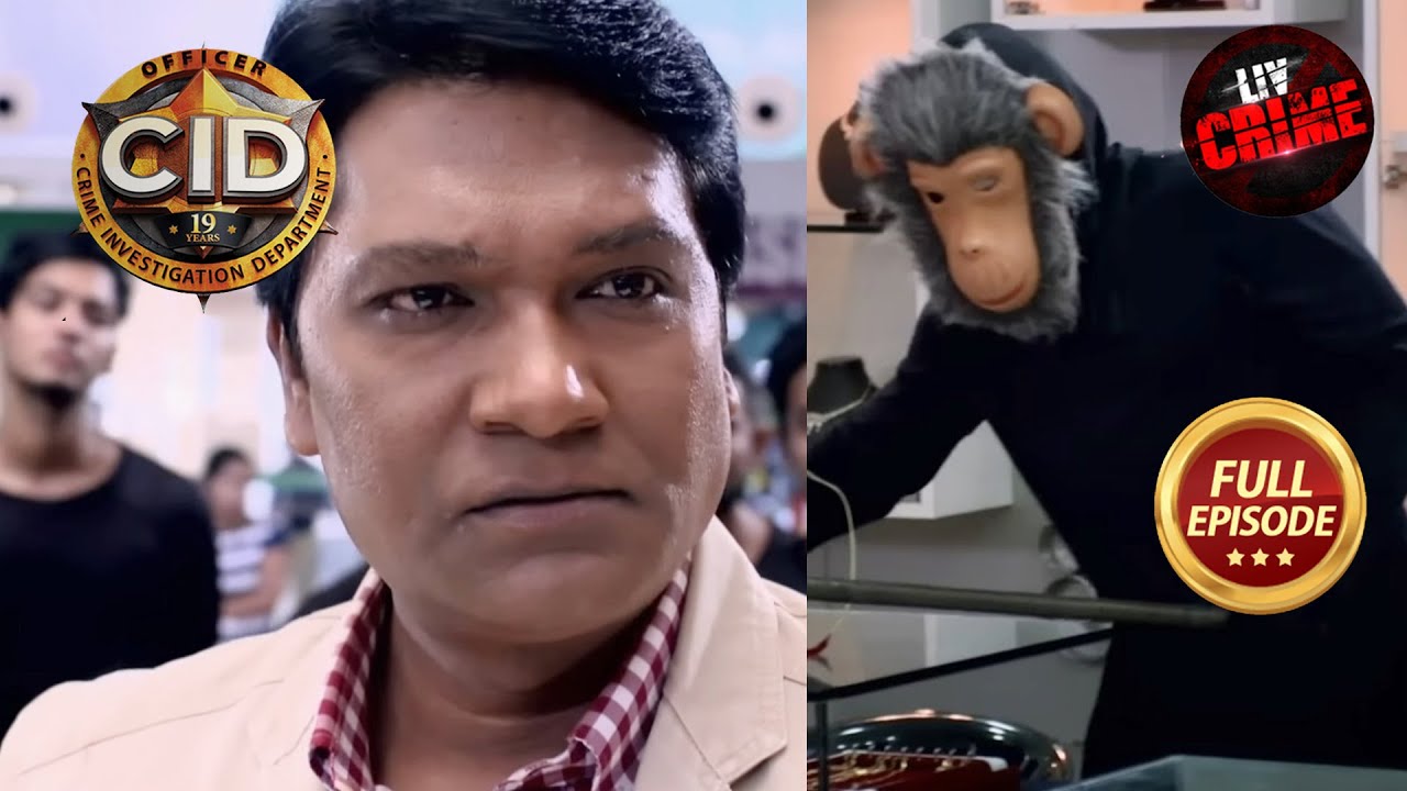 Team CID ने पकड़ा बंदर के भेस में एक चोर को | CID | सीआईडी | Searching ...