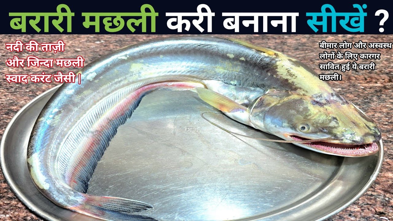 गांव के तरिके से मसालेदार बरारी मछली बनाना सिखें | Barari Fish Cutting ...