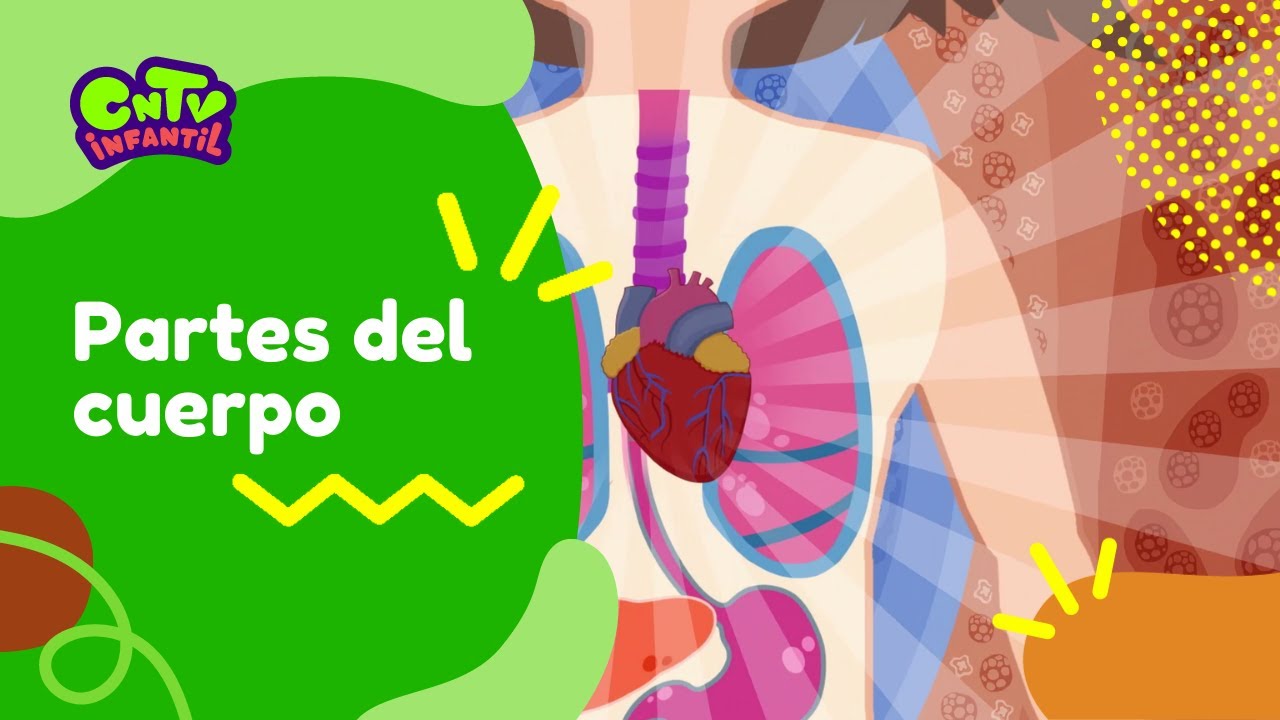 Partes del cuerpo | Camaleón y las naturales ciencias 3° temporada ...