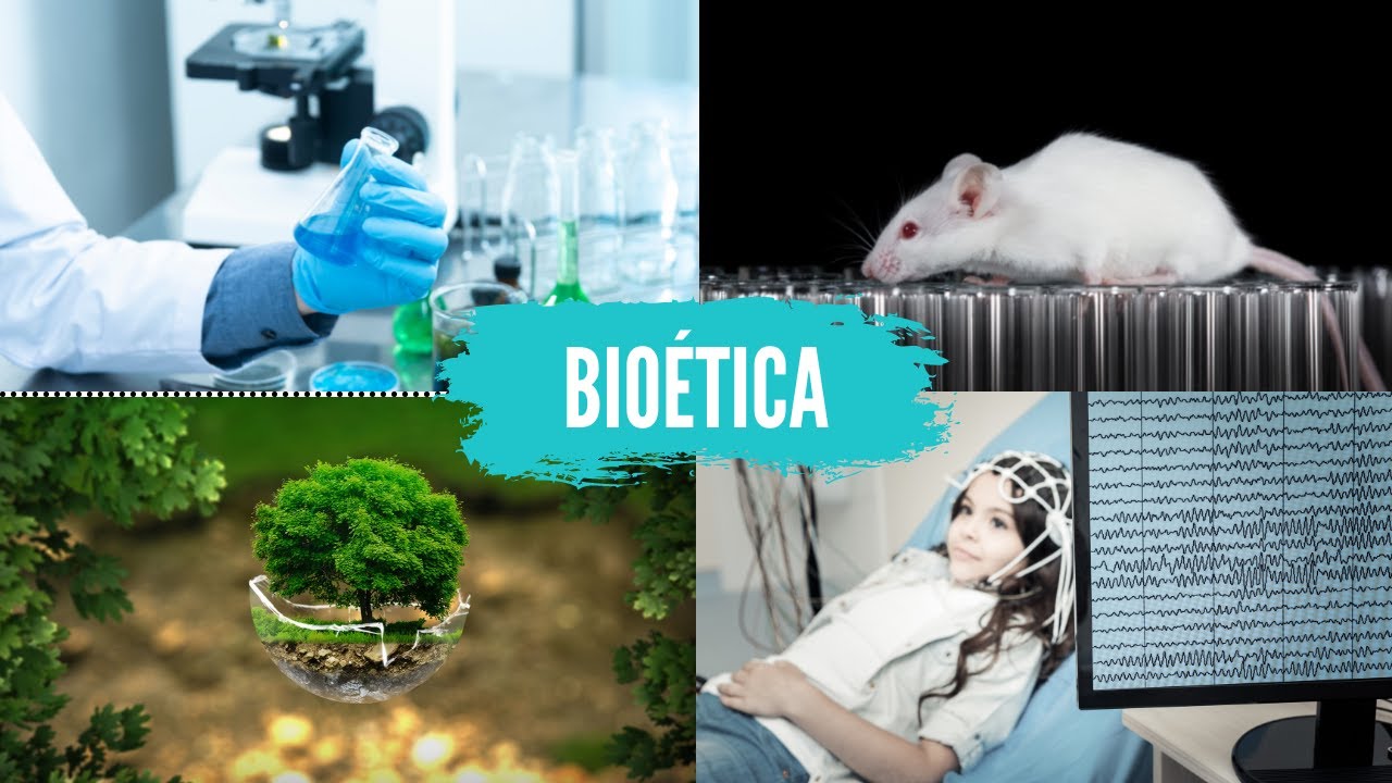 Bioética complexa: o que é? Como tomar decisões? | Bioética - YouTube