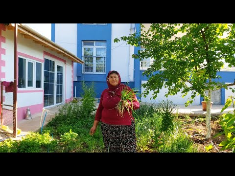 SABAH GEZİNTİSİ BAHÇEDE GELİŞMELER VARMI BAKALIM VLOG