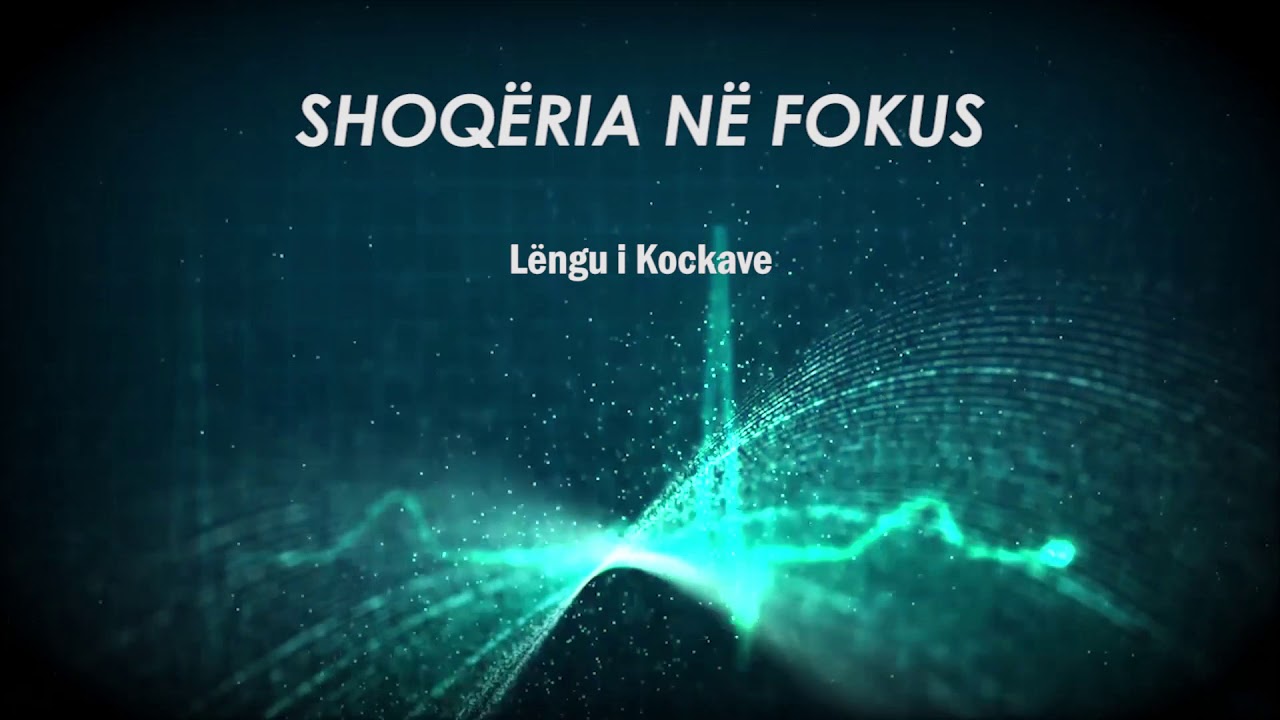 Shoqeria ne fokus: Lengu i Kockave (Dr. Estela Elezi) - YouTube