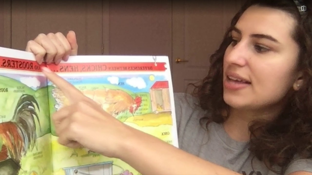 Chicks, Hens, and Roosters Read Aloud 1 - YouTube