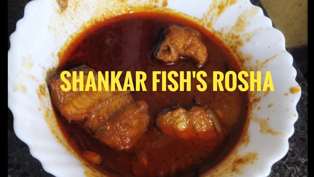 SHANKAR FISH'S ROSHA/ শংকর মাছের রসা/sankar fish recipe - YouTube