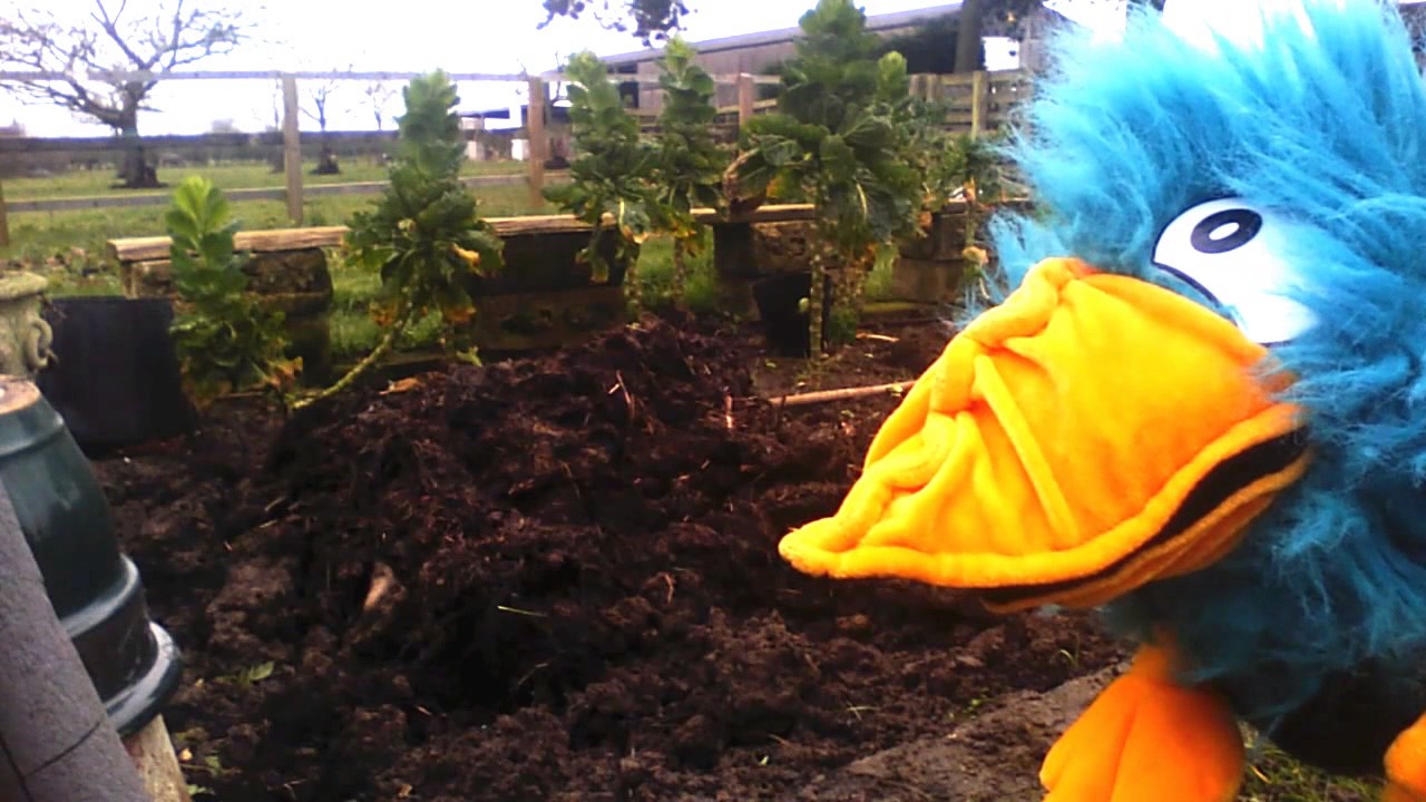 Gardening- Beaky finds out about jobs around the garden in March. Mrs ...