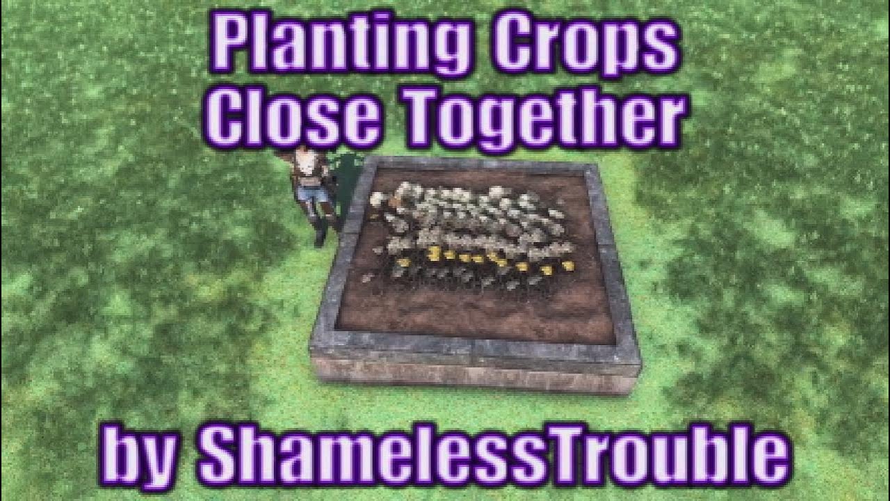 Fallout 76 Hacks - Planting Crops Close Together - YouTube