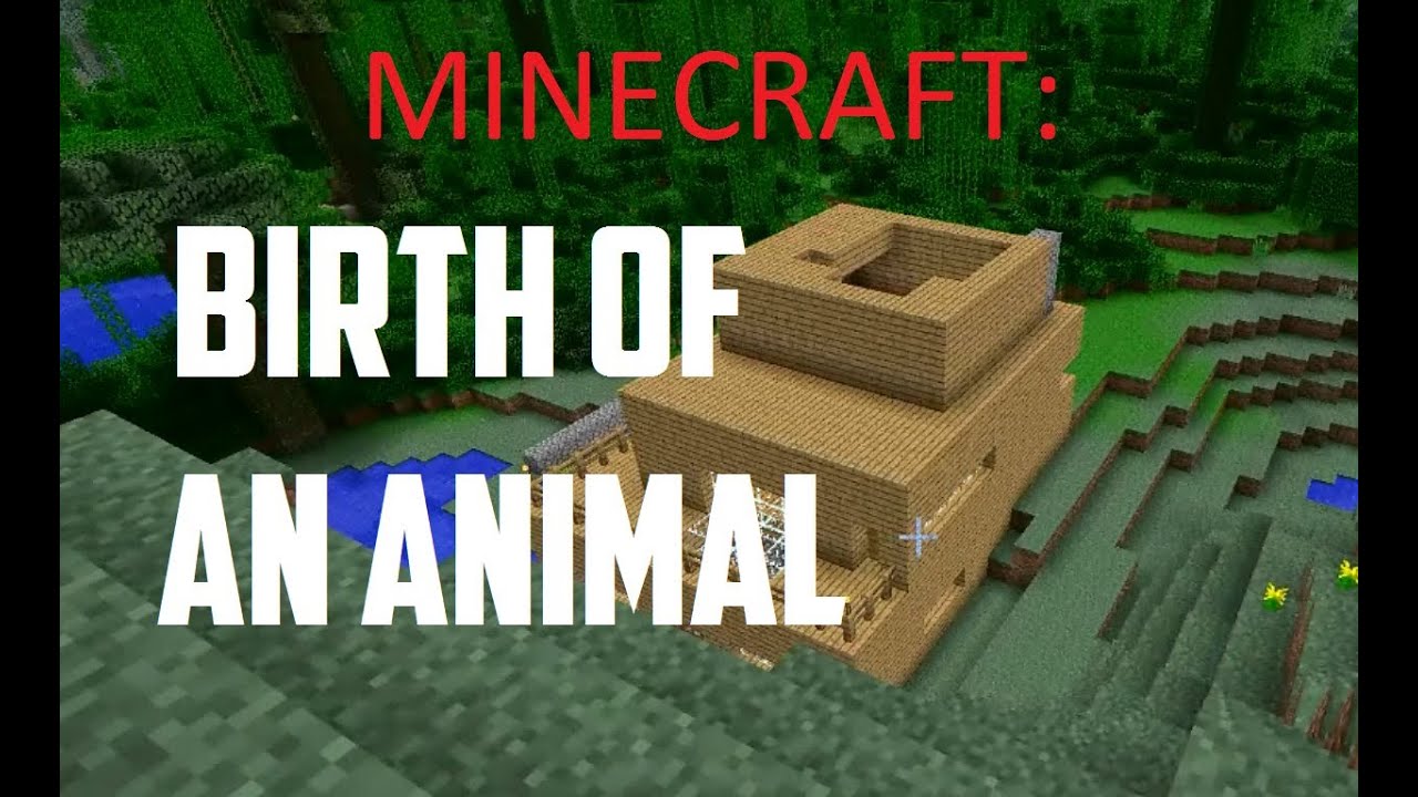 MINECRAFT : Birth of an Animal with Lt. Weenie - YouTube