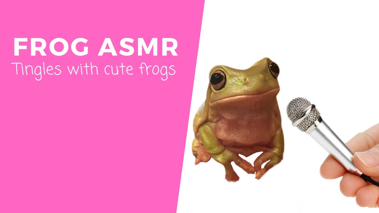 FROG ASMR!! TINGLES WITH CUTE FROGS - YouTube
