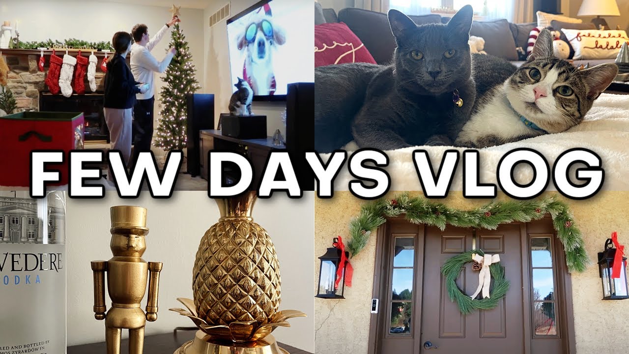 VLOG: decorating for christmas, I got into a car accident & hanging our ...