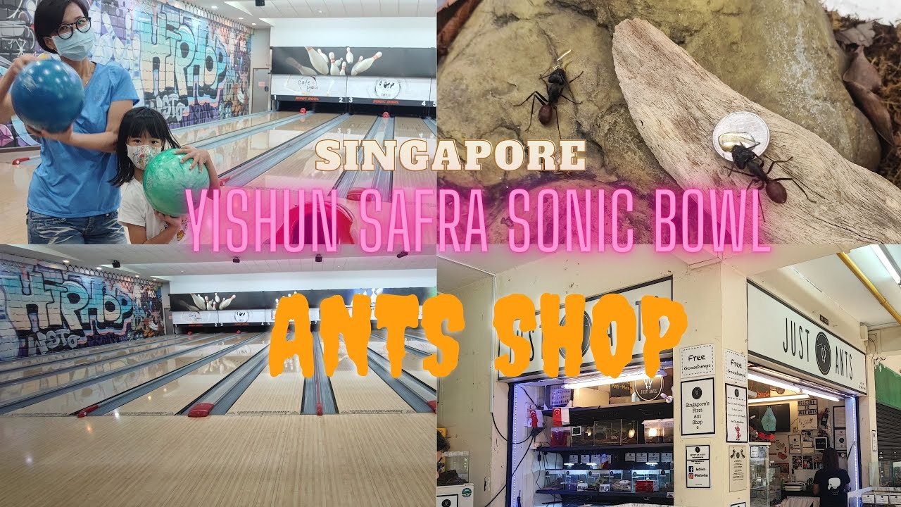 Yishun Safra | Sonic Bowl | Just Ants | Ants Shop | Singapore - YouTube