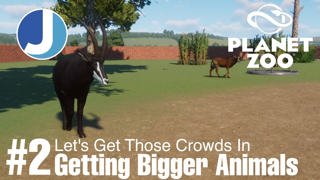 Planet Zoo | Let's Build A Zoo | Episode 2 | Our First Habitat Animals ...