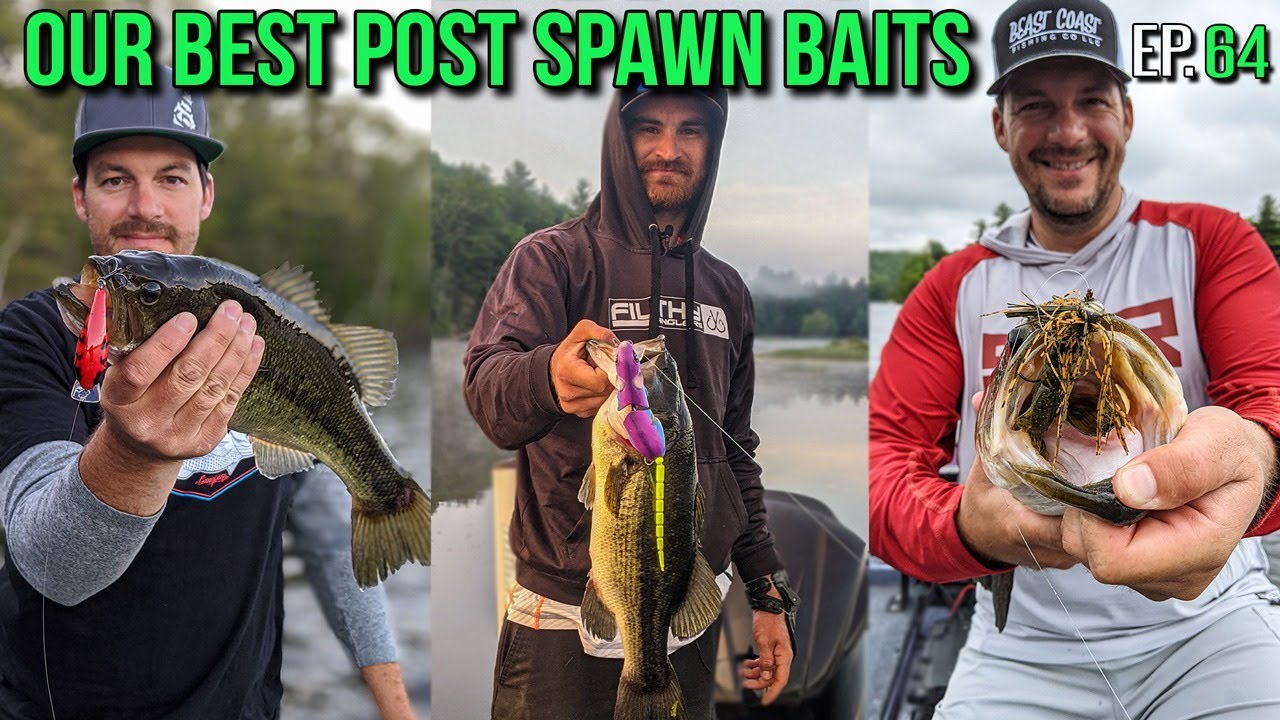 Our Best Post Spawn Baits! - Reel Northern Bass Talk - YouTube