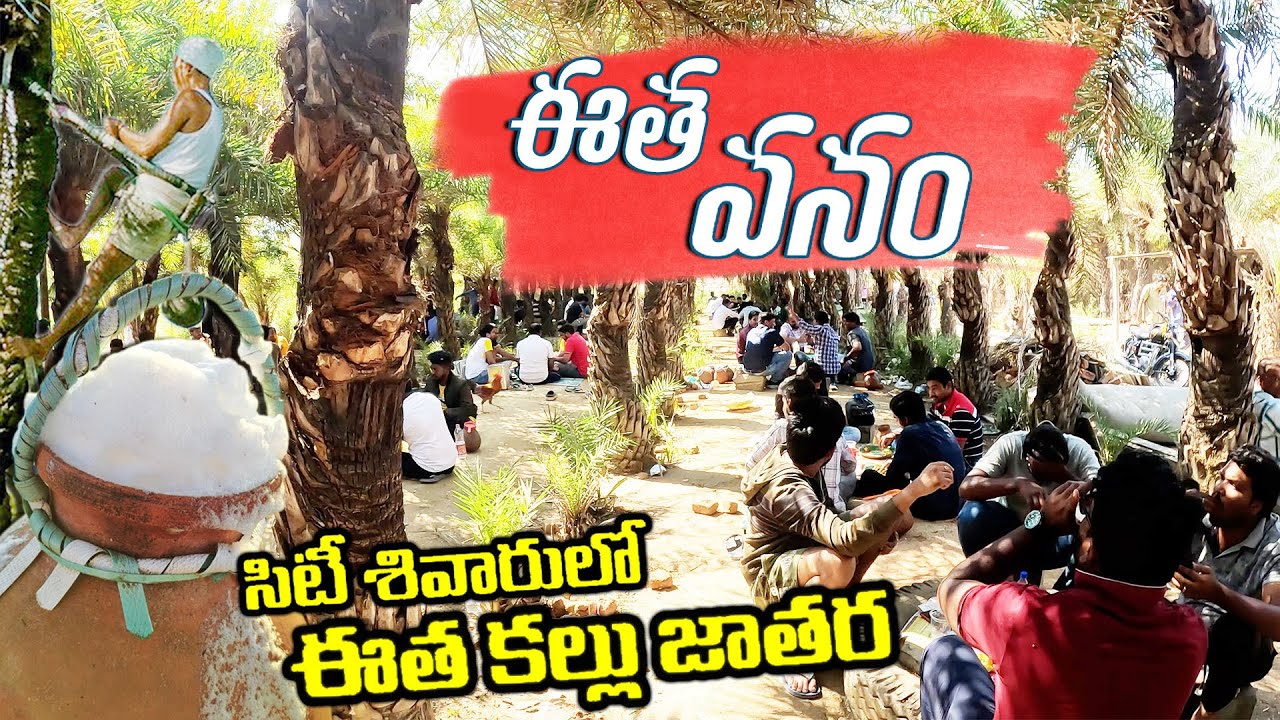 Eetha Vanam || Toddy near Hyderabad || 3 Varieties of Palm Wine ||Lacha ...