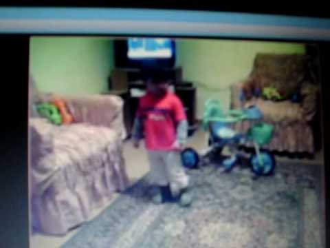 kur avi kercen Na tropiku ne tropik