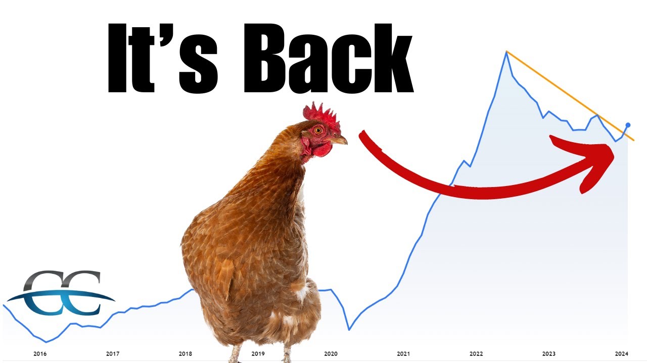 The Inflation Chickens Coming Home to Roost - YouTube