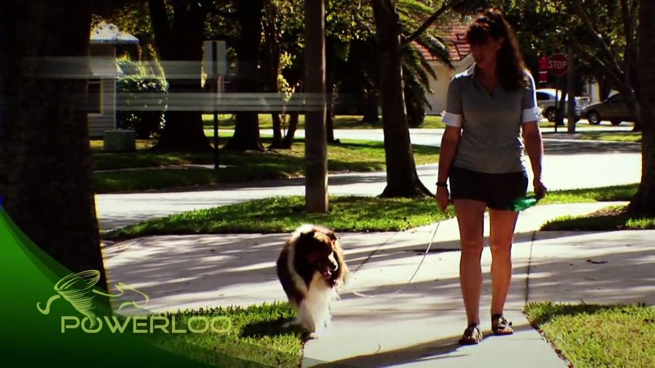 The Powerloo Investors Video - YouTube