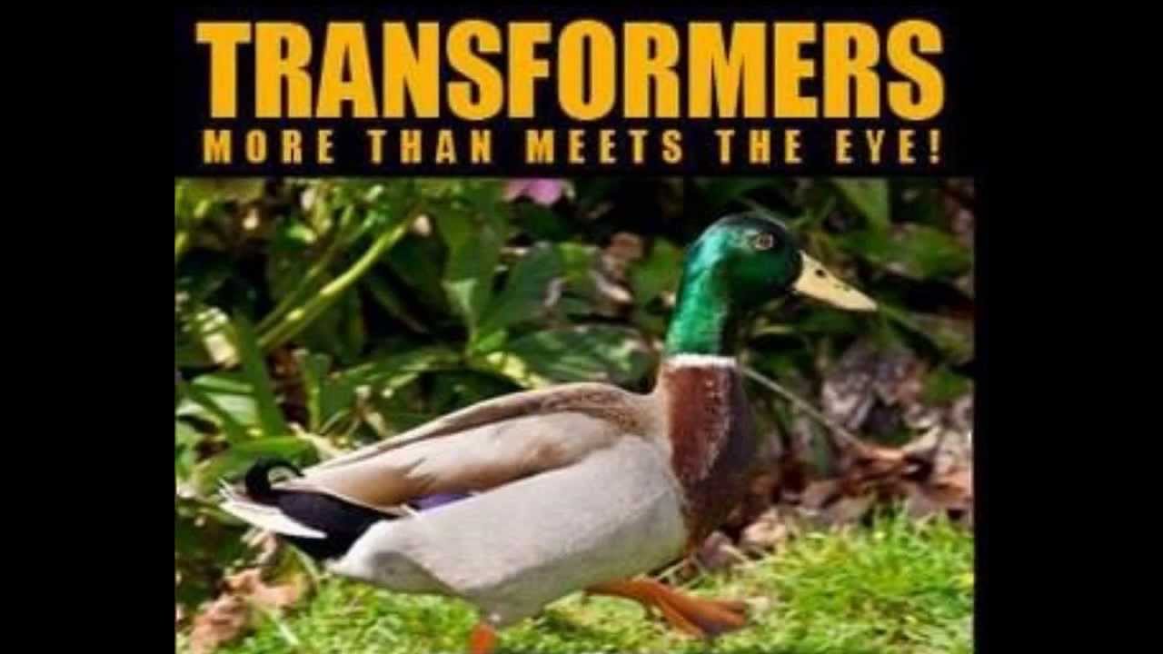 Transformer Ducks - YouTube
