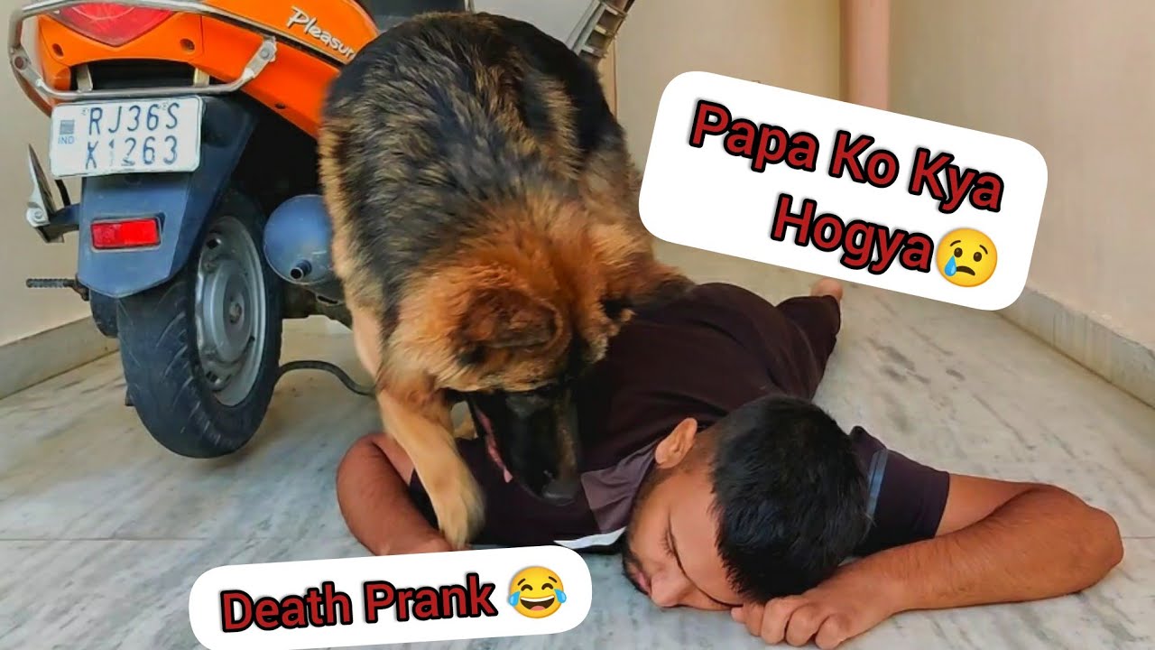 Fake Death Prank In Front Of My Dog | Marne Ki Acting 😂 - YouTube