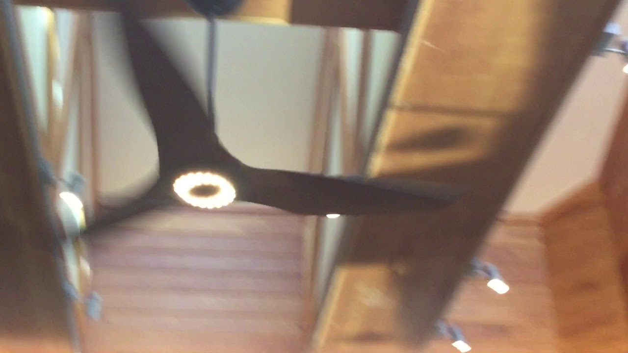 Haiku Ceiling Fan And Christmas Tree At The New York State Welcome ...