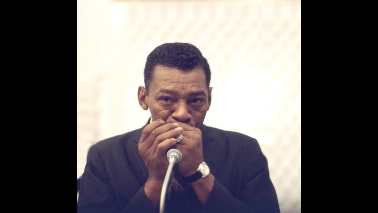 Little Walter Tribute Concert - YouTube