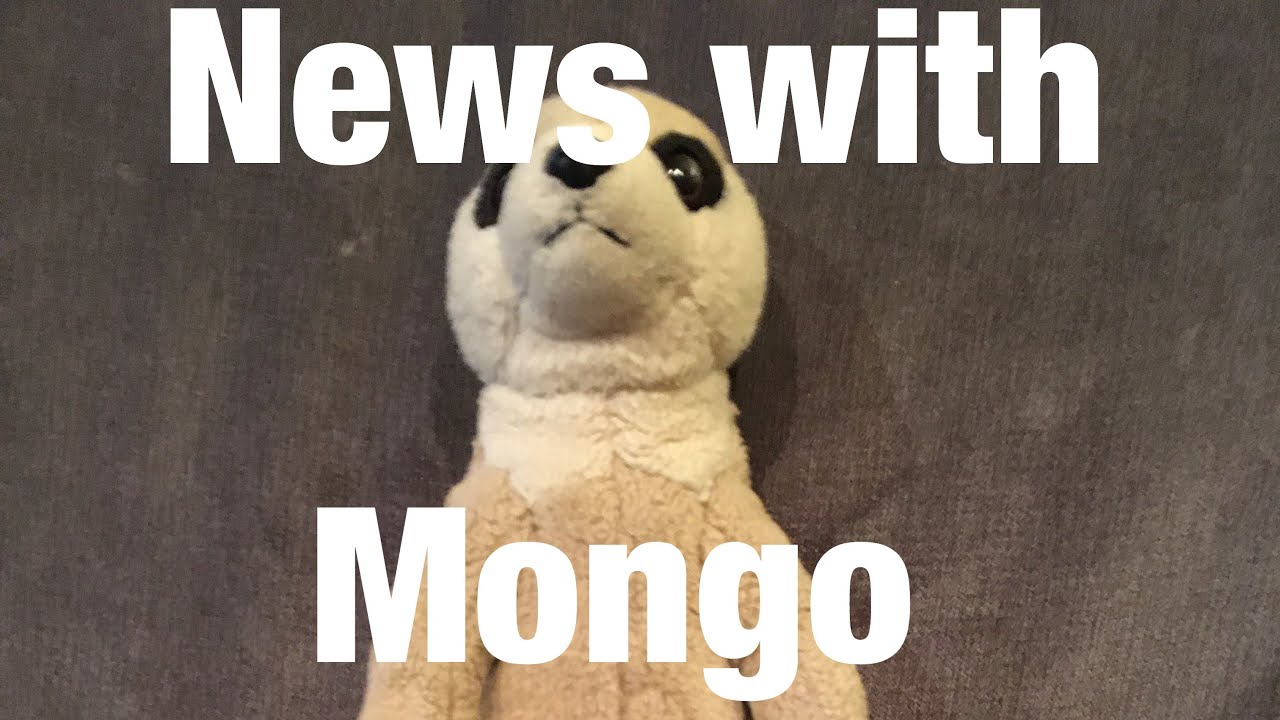 Updates and video news with Mongo - YouTube