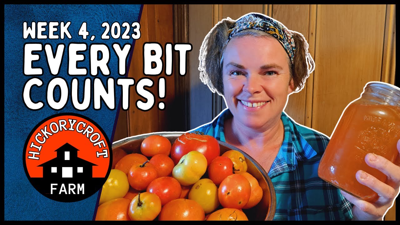 EVERY BIT COUNTS CHALLENGE: Week Four August 2023 Preserving The ...